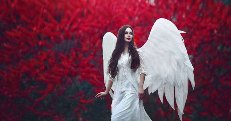 5 Signs from Your Angels You Should Never Ignore (and Why)