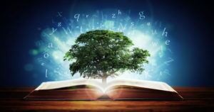 The First Letter of Your Name Reveals A Lot About You