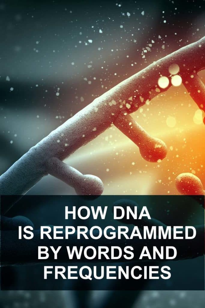 How DNA Is Reprogrammed by Words and Frequencies